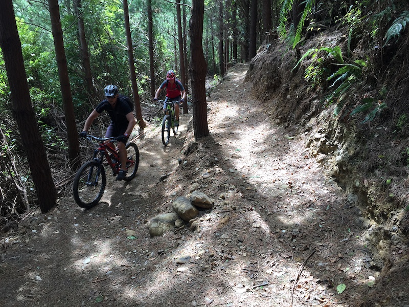 Upcycle - Easy Climbing Track Mountain Biking Trail - Hokitika
