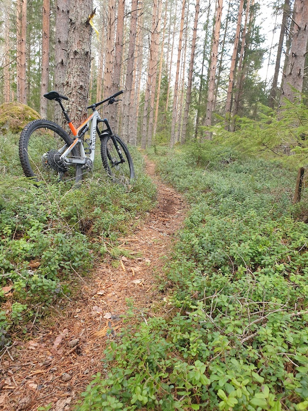 Öjberget Mountain Biking Trails | Trailforks