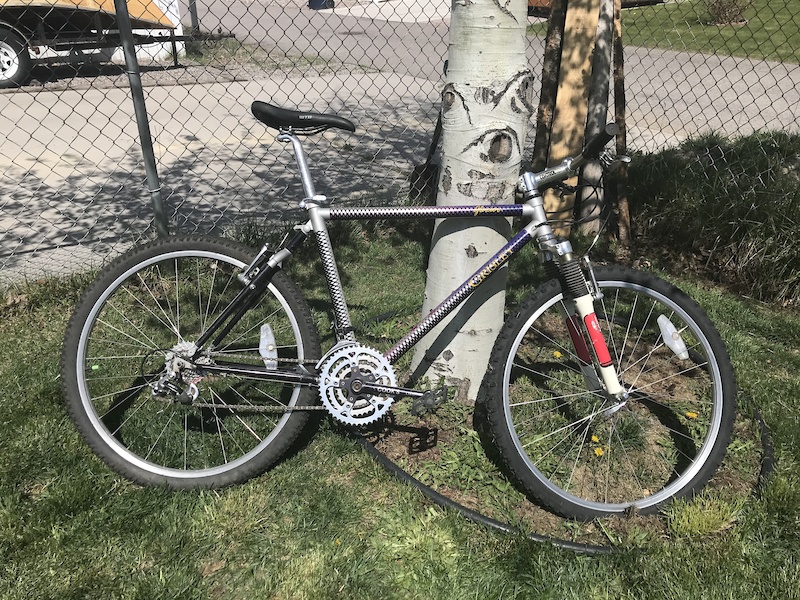 Medium Grisley Glacier For Sale