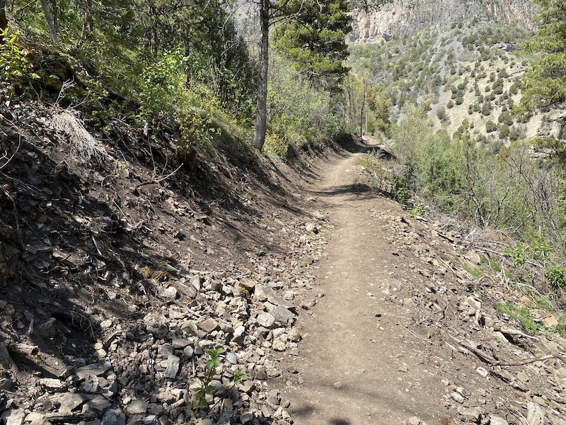 Lower Spring Hollow Multi Trail - Logan, Utah