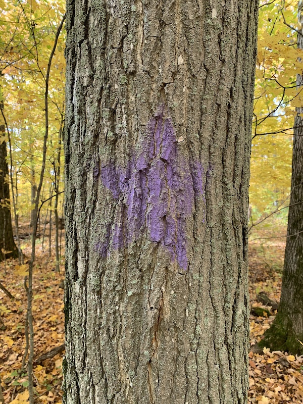 Simcoe County Mountain Biking Trails | Trailforks