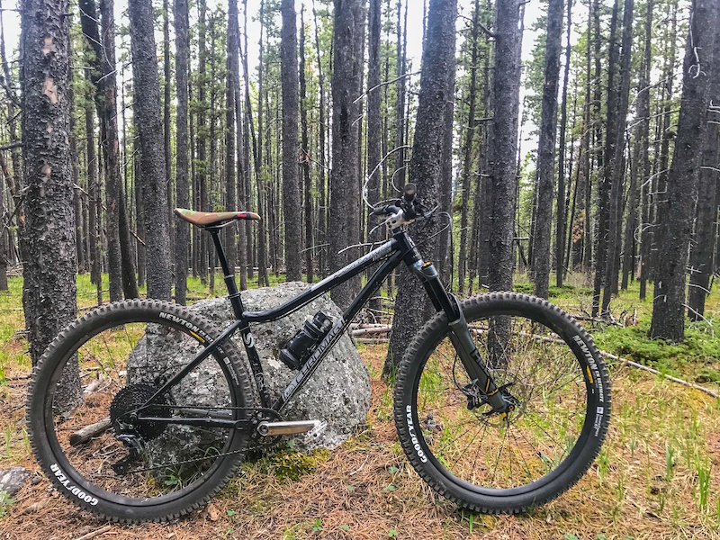 2019 M/L chromag Rootdown For Sale