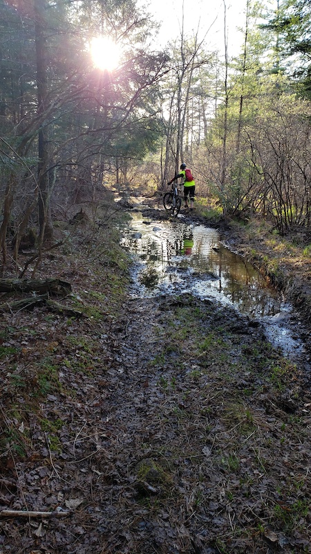Lowland Mountain Biking Trail - Allenstown, New Hampshire