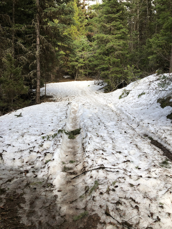 Powder Highway Snowshoeing Trail - Kamloops, BC