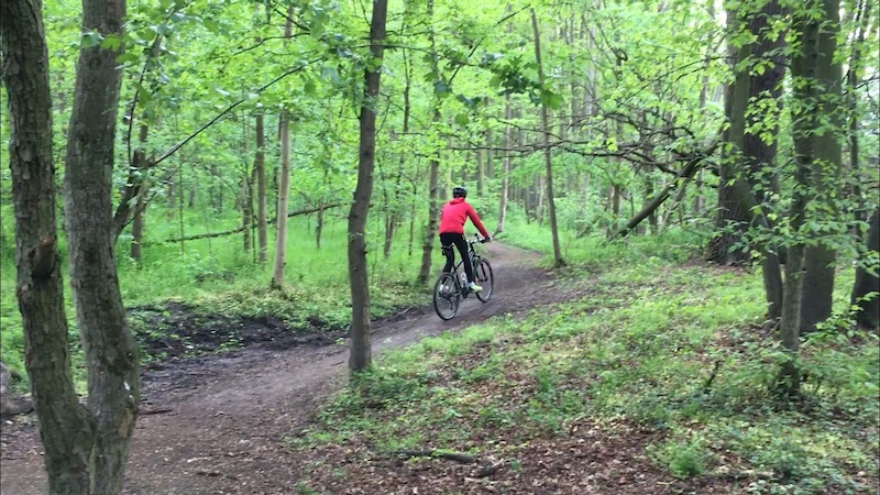 Szlak Logera Multi Trail - | Trailforks