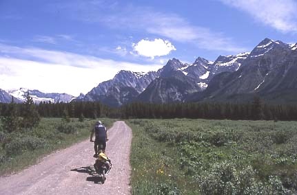 Elk River FSR -Upper- Elk Valley Trail (The Great Trail) Multi Trail ...