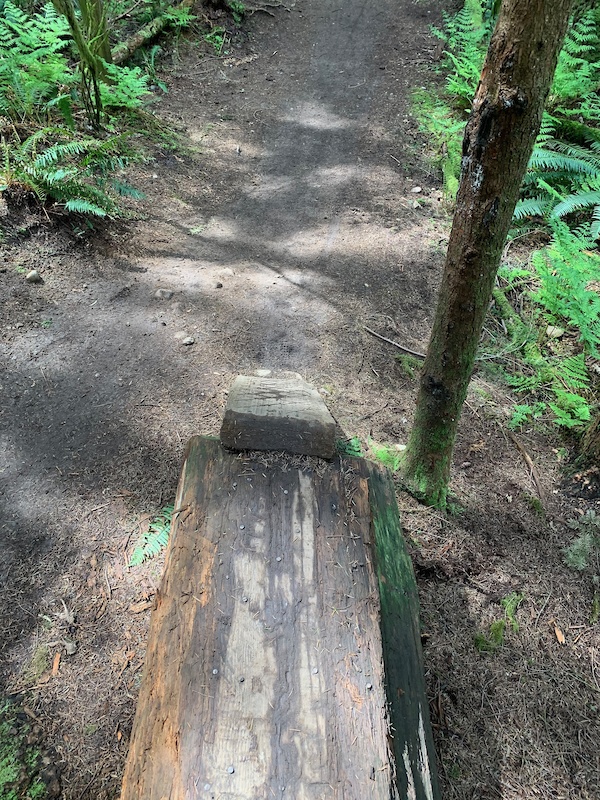 TORCA 500 XC course 2024 Mountain Biking Route | Trailforks