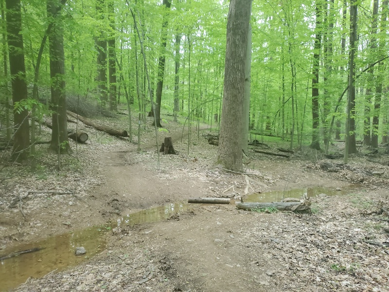 Cabin Branch Trail Mountain Biking Trail - Boyds, MD