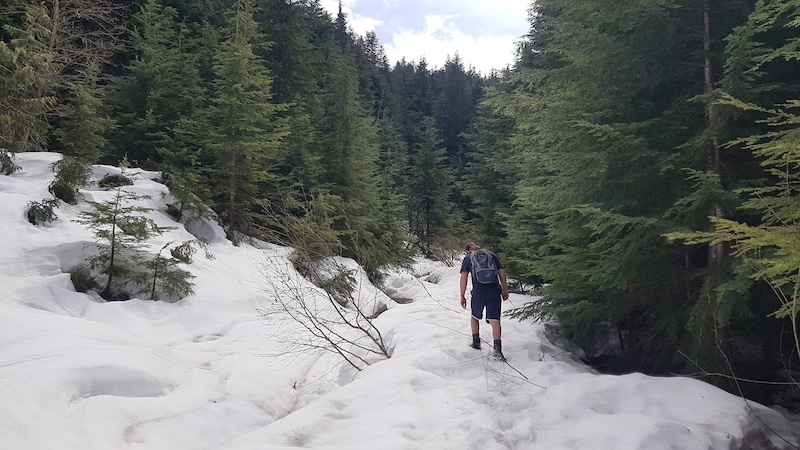 Lake Drive Dirtbiking Trail - Maple Ridge, BC