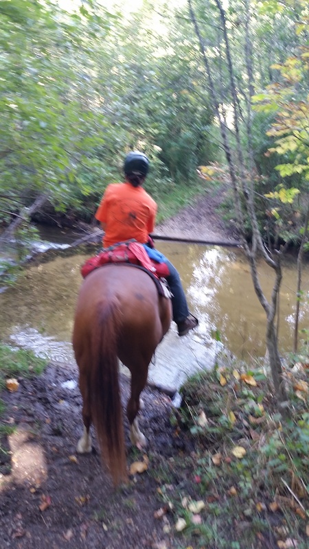 Shore To Shore Trail - GPS Map | Trailforks