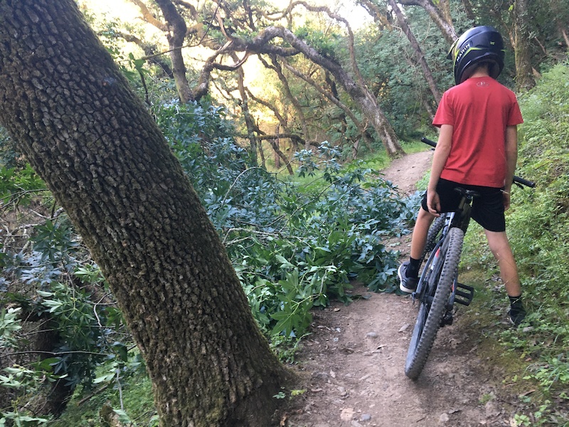 Creekside Mountain Biking Trail - Santa Rosa, California