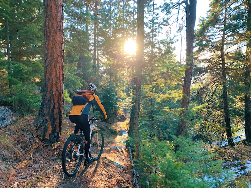 Oregon La Grande Mt Emily Relive Your Rides Mountain Biking Route ...