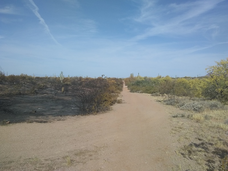 Old Apache Multi Trail - Apache Junction, AZ