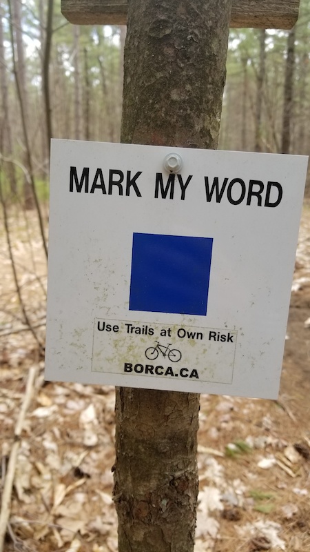 Mark My Word Mountain Biking Trail - Beachburg, Ontario