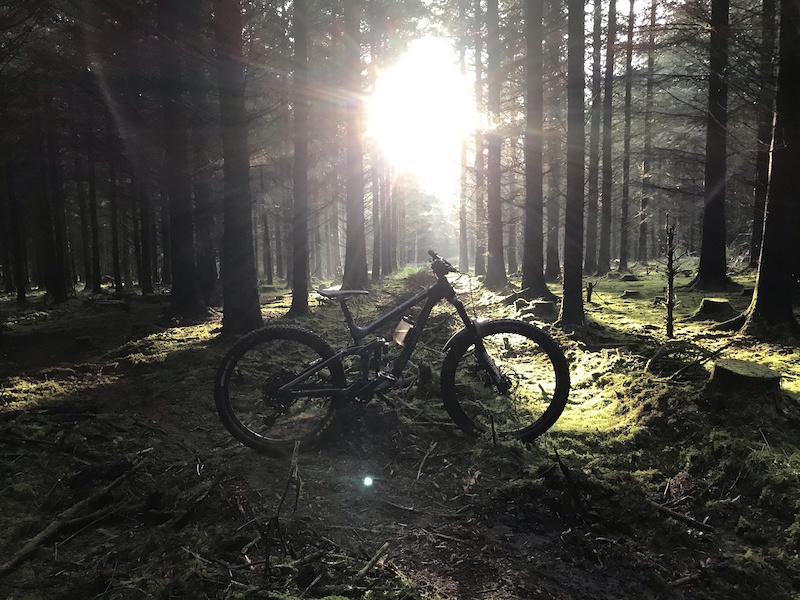 Coriander Chicken Mountain Biking Trail - | Trailforks