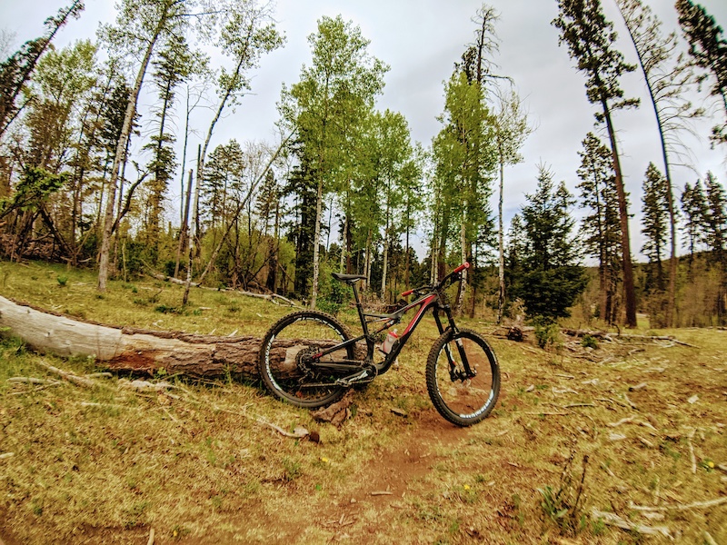 High Altitude Race Course Mountain Biking Trail - Cloudcroft