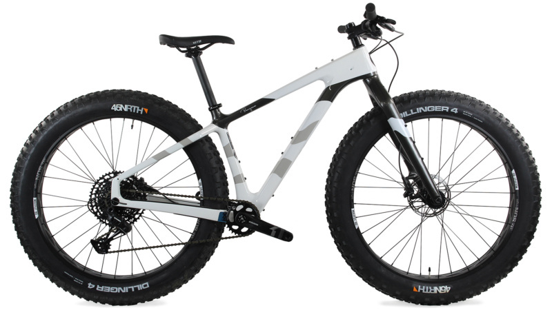 2020 Salsa Beargrease 16" For Sale