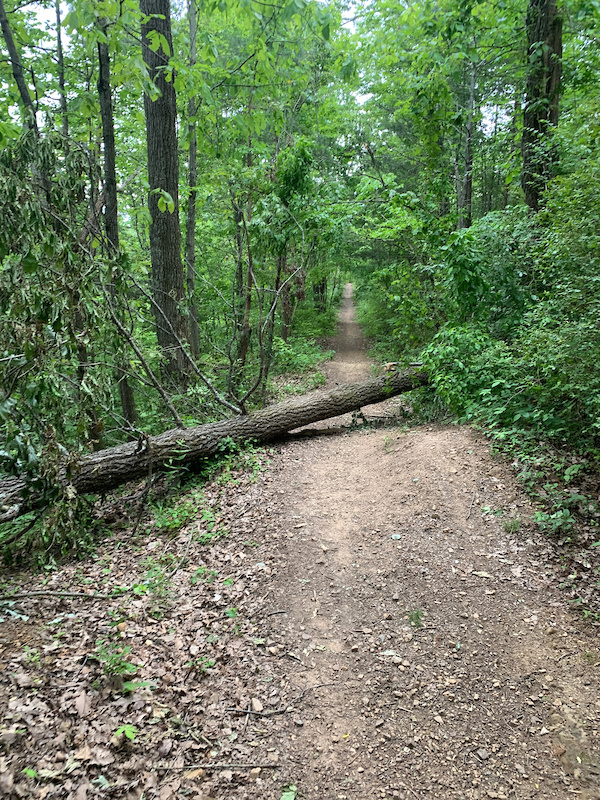 Firebreak Multi Trail - Knoxville, Tennessee