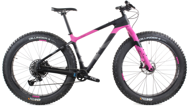 2020 Salsa Beargrease 17.5" For Sale