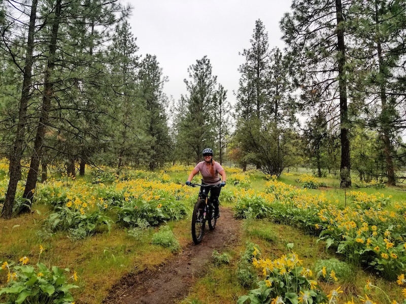 Sekani-Shields Connector Mountain Biking Trail - Spokane