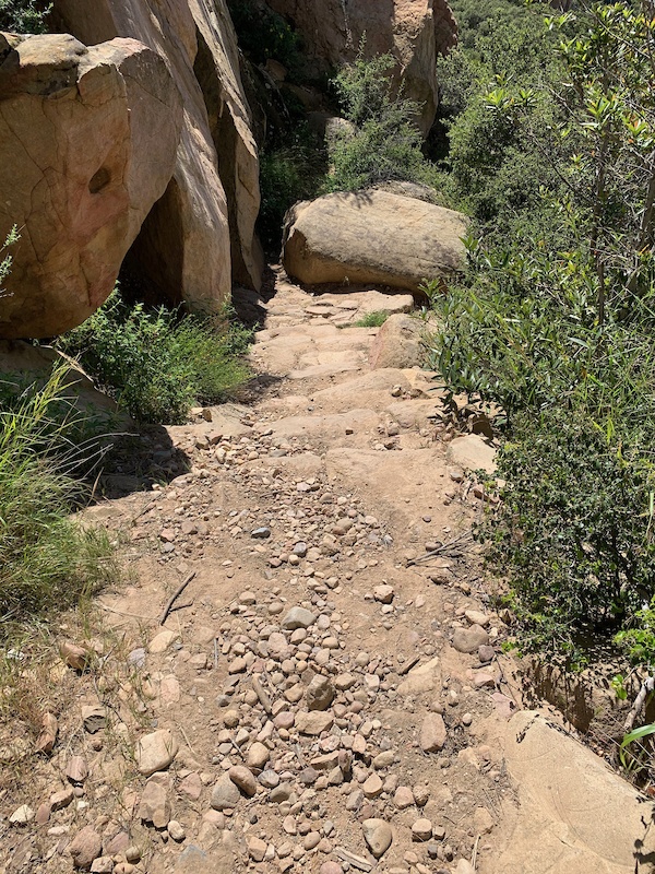 Backbone (Saddle Creek) Hiking Trail - - California