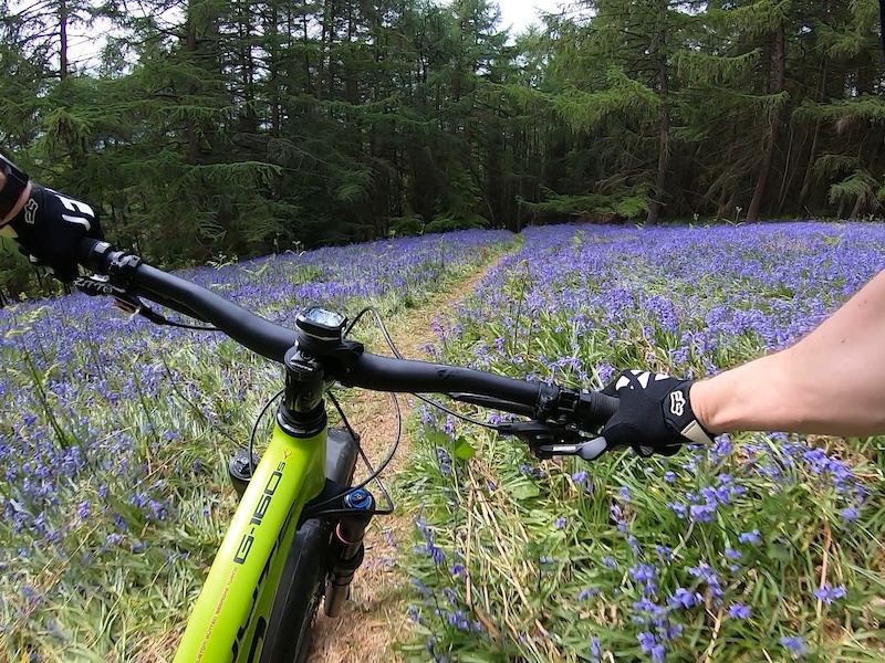 Ride me Mountain Biking Trail - Barrhill, Twechar
