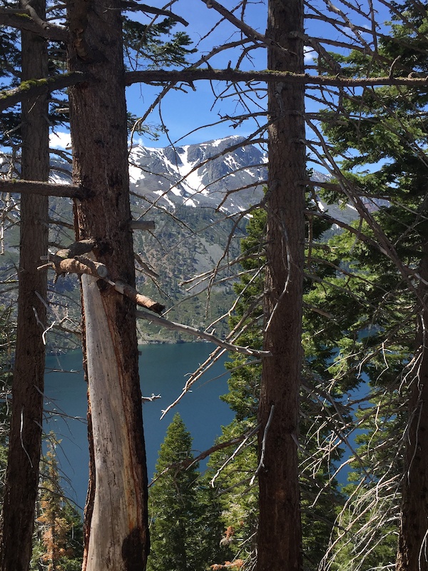 Upper Angora Ridge Trail Mountain Biking Trail - Meyers