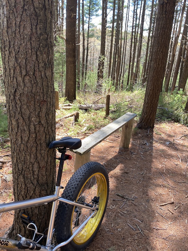 Shawme Highway Trail Multi Trail - Sandwich, MA