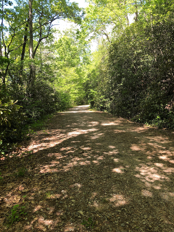 Hard Times Road Multi Trail - Bent Creek, North Carolina