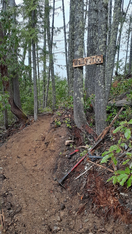 Wally Jr Mountain Biking Trail - Parksville, BC