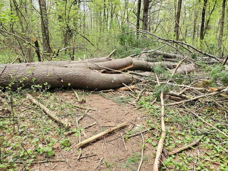 Fox Hunt Trail Multi Trail - Framingham, Massachusetts