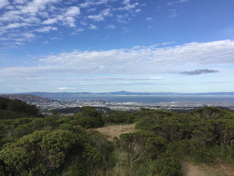 Sweeney Ridge Trail Multi Trail - Pacifica, CA