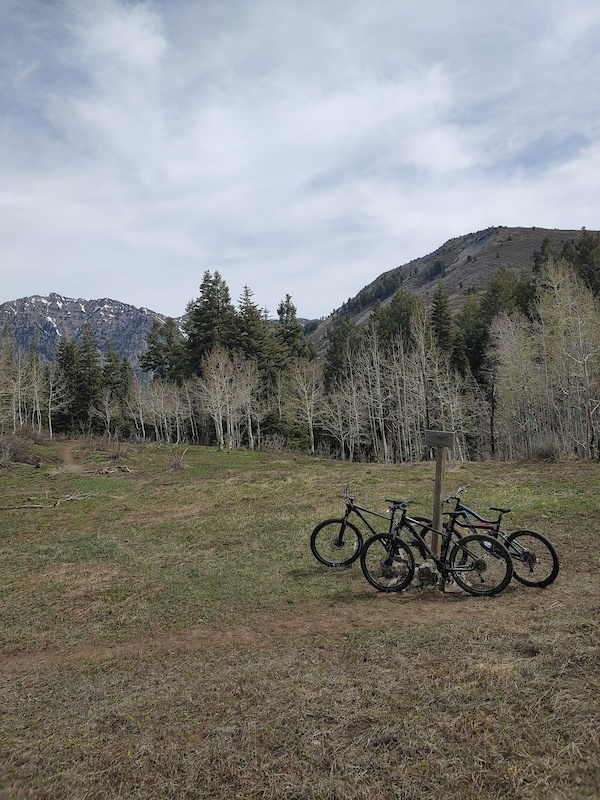First Right Fork Hiking Trail - Provo, Utah | Trailforks
