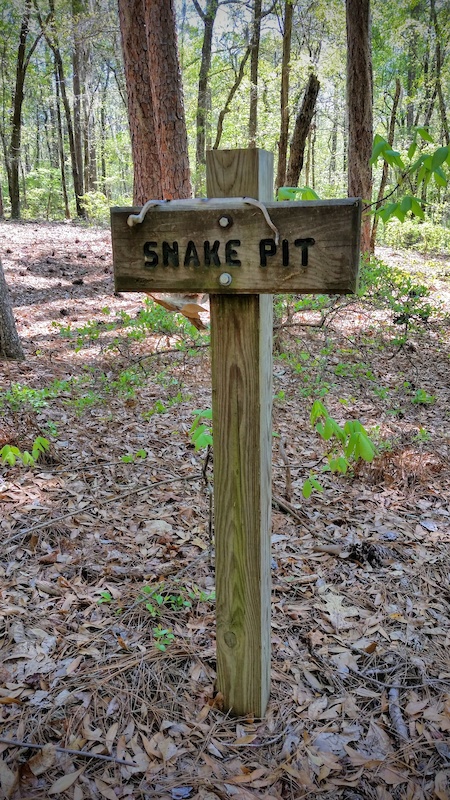 Manchester State Forest, Sumter Mountain Biking Trails | Trailforks