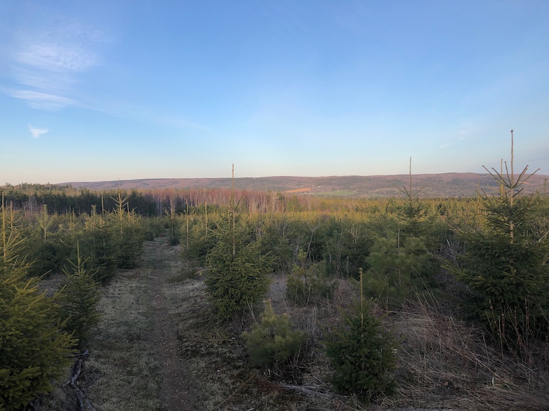 2021 Elgin 20 km loop Mountain Biking Route | Trailforks