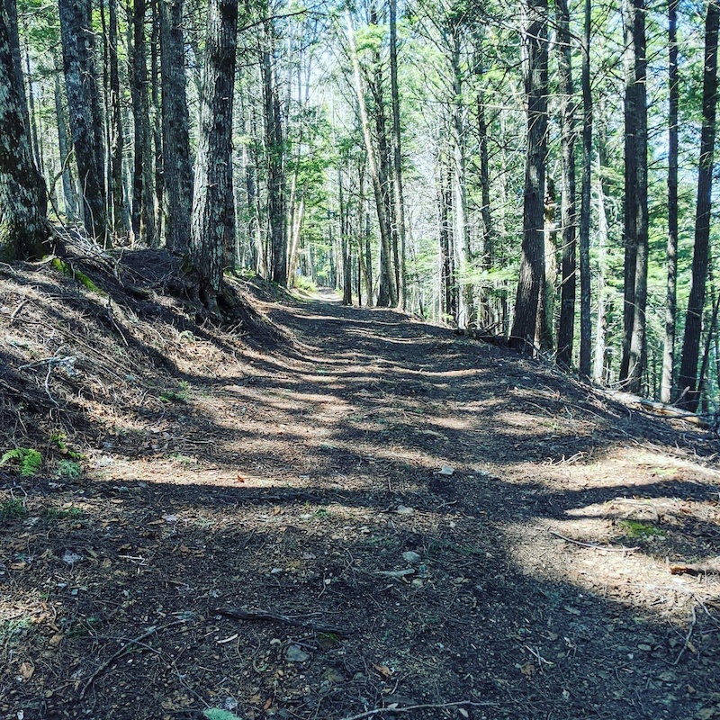 Woolastook Loop Doubletrack Mountain Biking Trail - Fredericton