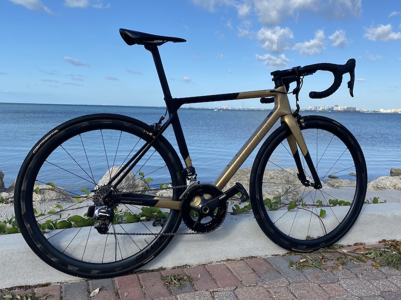 2019 DI LUCA For Sale