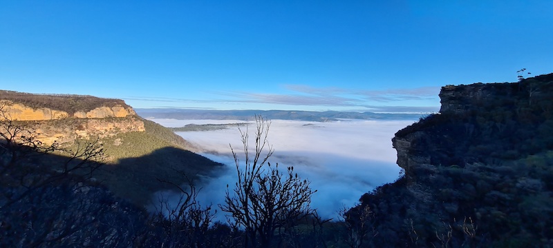 Narrow Neck Trail Mountain Biking Trail - | Trailforks