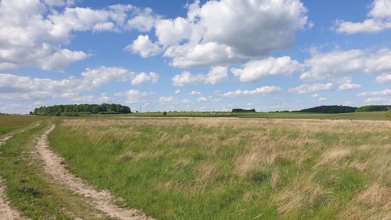 Stepy Akermańskie Mountain Biking Trail - Jawor
