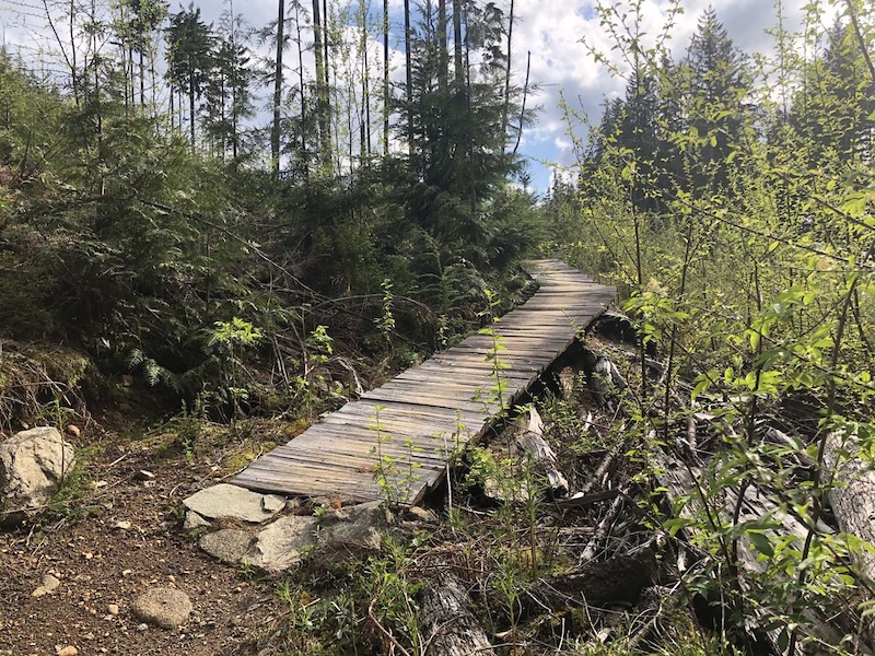 rEDneck Bridge 1 POI | Trailforks