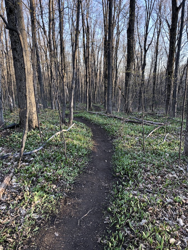 2021 North Bay Enduro Challenge Route Mountain Biking Route | Trailforks