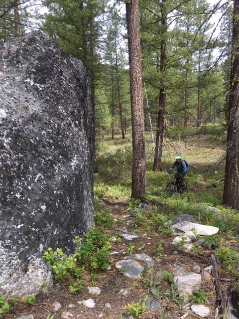 Cookie Trail Mountain Biking Trail - Winthrop, Washington