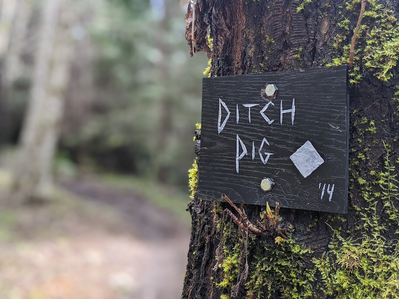 Ditch Pig Mountain Biking Trail - Squamish, BC