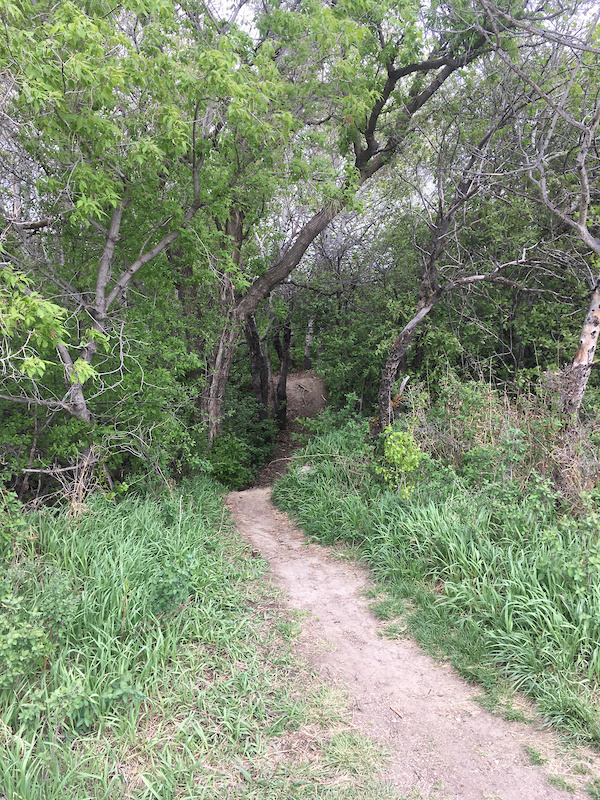 Run Off Mountain Biking Trail - Saskatoon, Saskatchewan