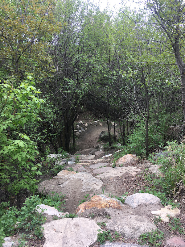 Sutherland Beach, Saskatoon Mountain Biking Trails | Trailforks