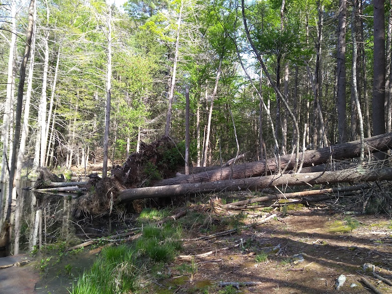 111 Mountain Biking Trail - Boxford, Massachusetts
