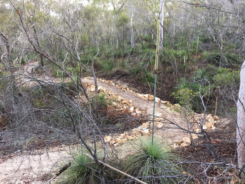 Curtis Island, Gladstone Mountain Biking Trails | Trailforks