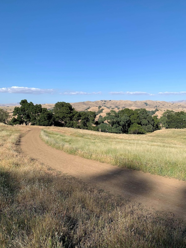 Pleasanton Ridge - Foothill Entrance Mountain Biking Route | Trailforks