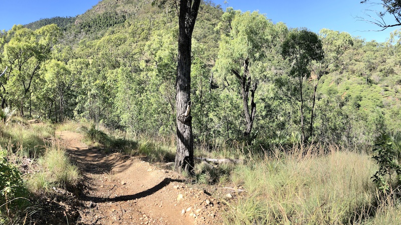 1995 Mountain Biking Trail - Rockhampton | Trailforks