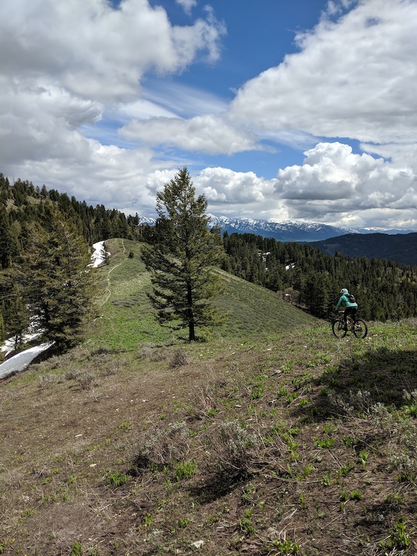 Little Box Canyon Mountain Biking Trail - Freedom, Idaho